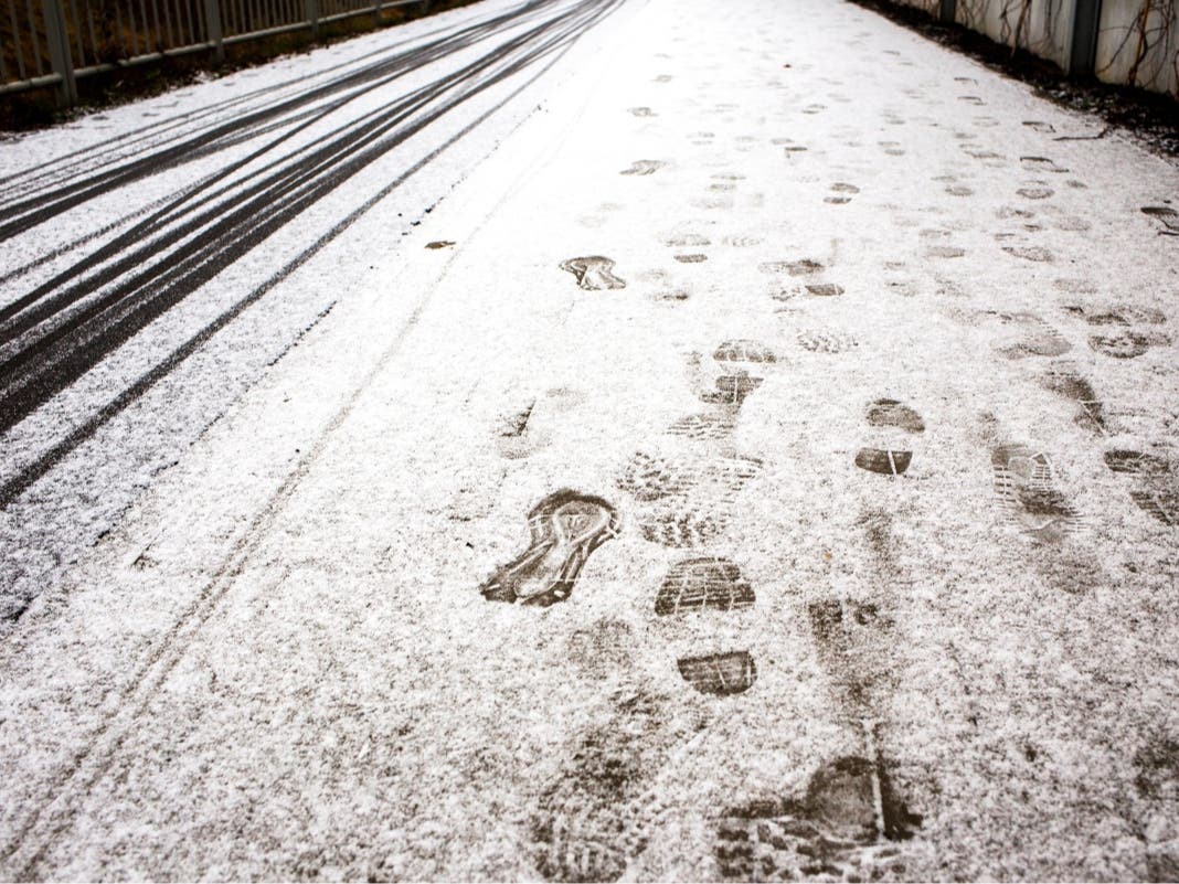 How much snow fell in Evanston during sudden snowfall