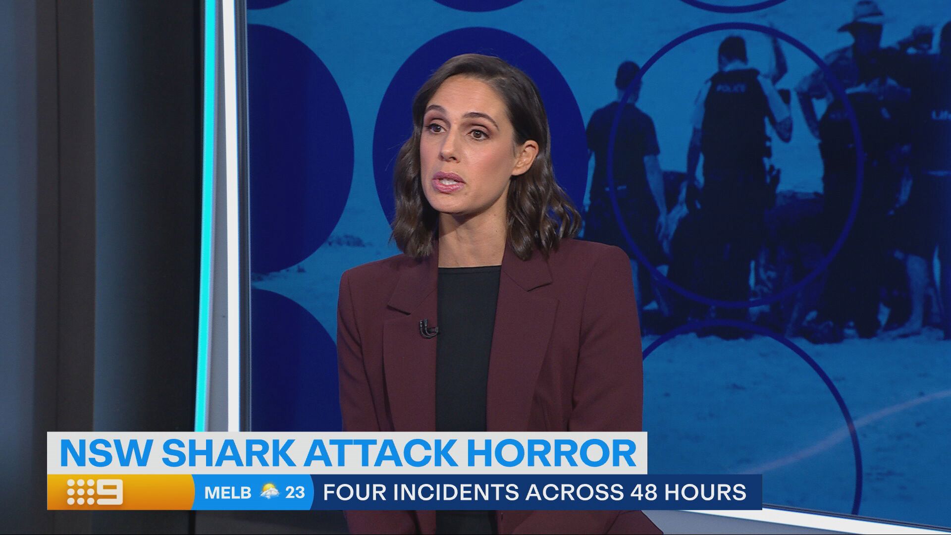 Call for cull after spate of shark attacks 'misinformed', expert says