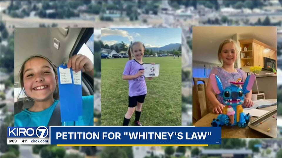 VIDEO: Petition for AMBER Alert if a parent takes the child in memory ...