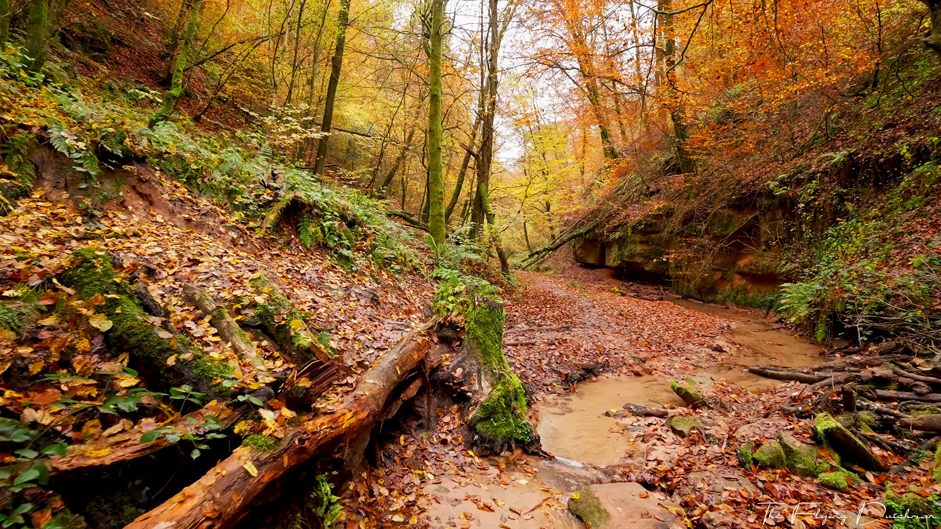 Sirzenicher Waterfall Trier autumn river walk Germany (4K)