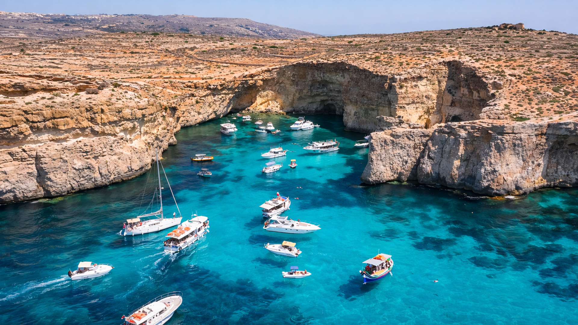 Why is everyone coming here?