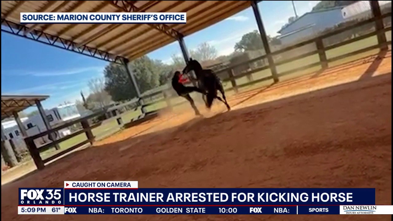 Horse trainer arrested after video shows alleged abuse of horse