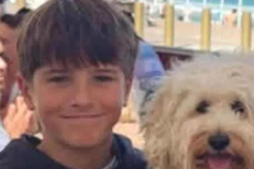 Kind spirited boy, 12, dies in hospital a week after horror shark ...
