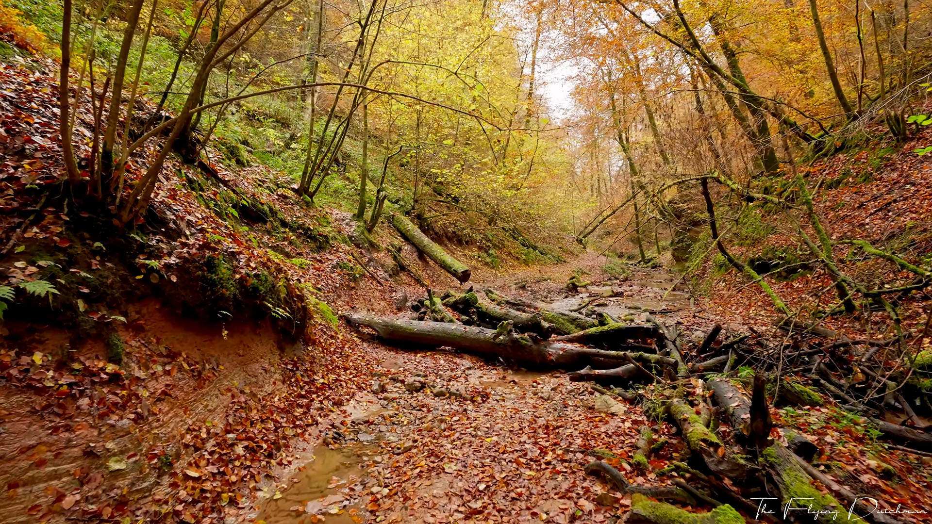 Autumn walk to Sirzenicher waterfall near Trier Germany (4K)