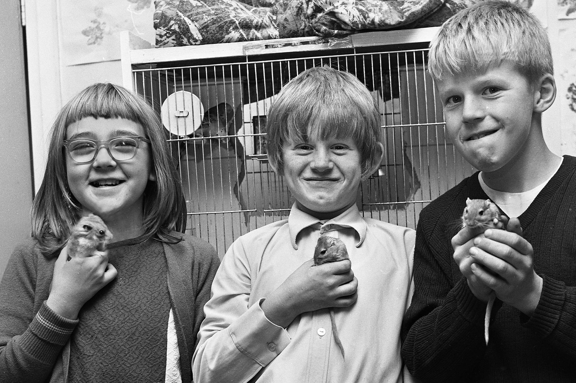 Take a look at these marvellous pictures from 4 Wigan primary schools ...