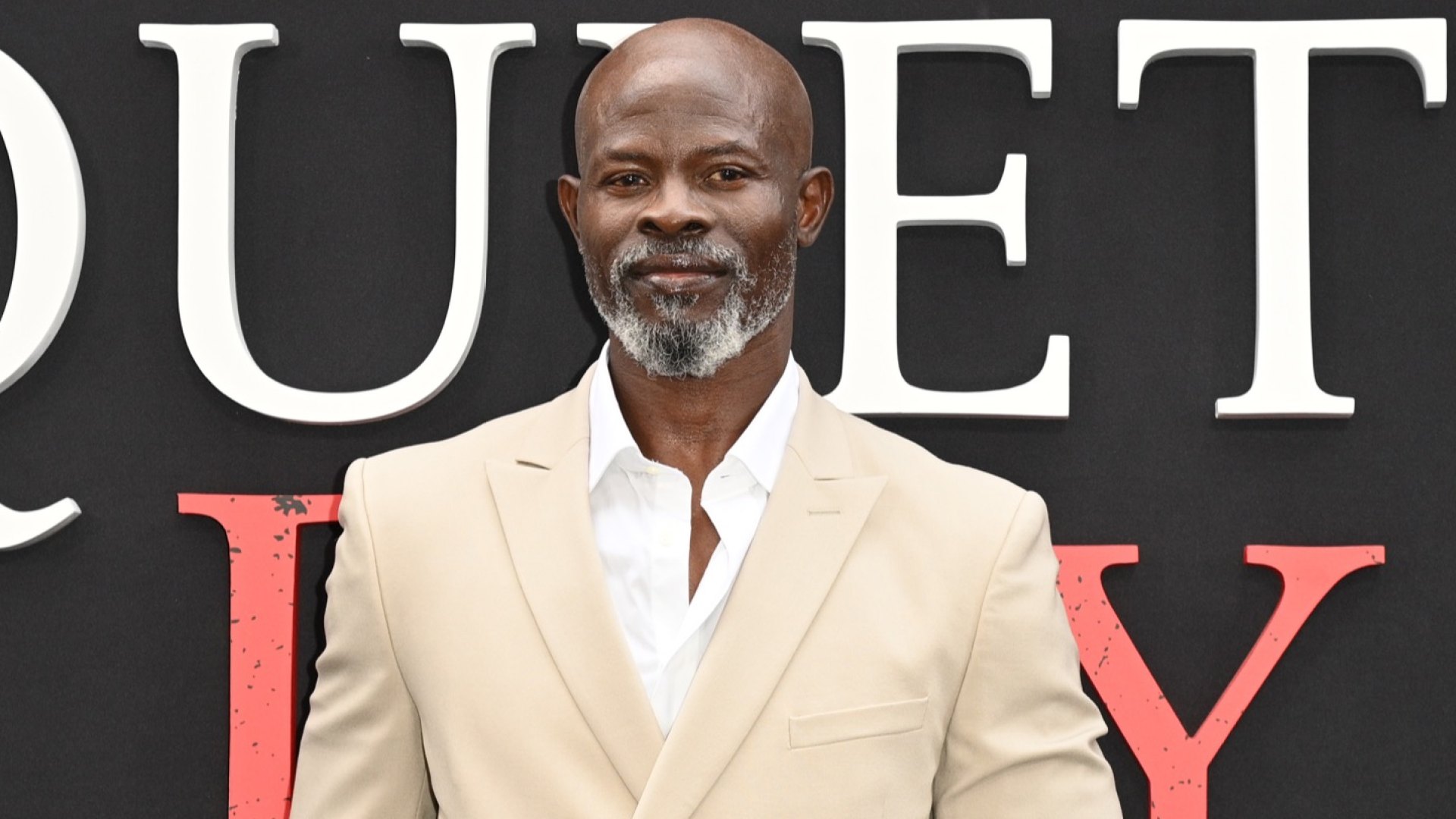 Djimon Hounsou's ex-GF Riza Simpson released from jail after assault arrest
