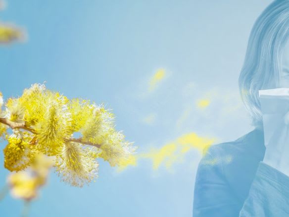 Pollenflug Witten aktuell: Wie hoch ist die Pollenbelastung am Mittwoch?