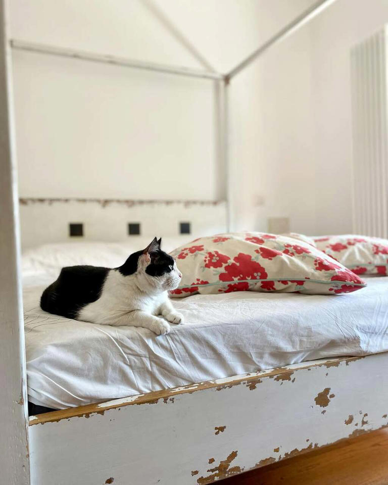 Dove vive Marina La Rosa, l'attico nel centro di Roma: la cucina nera ...