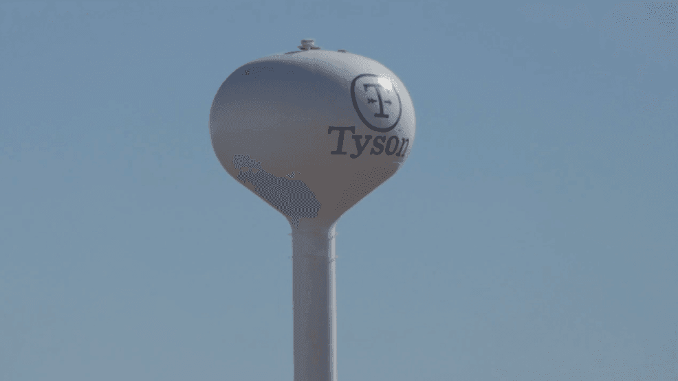 Democratic candidates propose solutions to prevent mass layoffs in ...