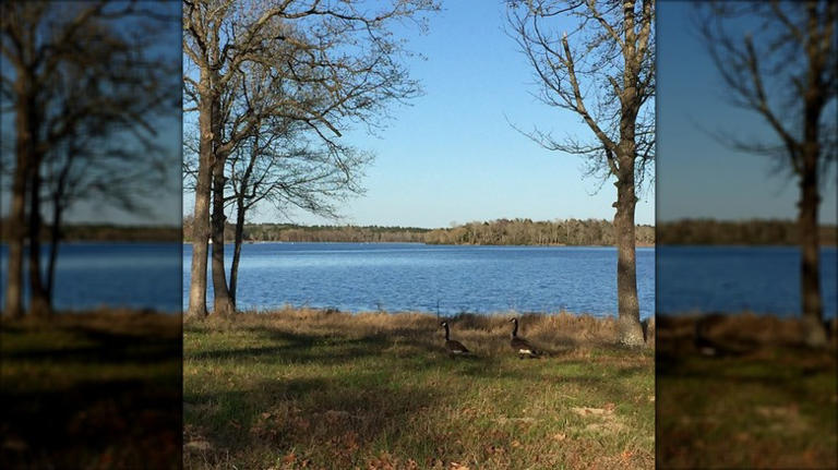 Texas' charming city southeast of Dallas has a scenic lake, wineries ...