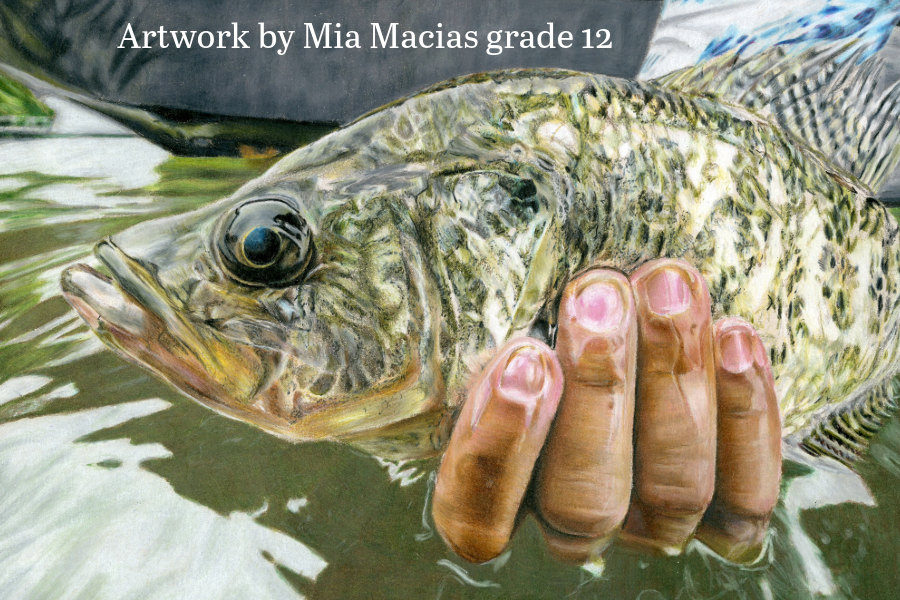 Deadline approaching for submissions for annual fish art contest