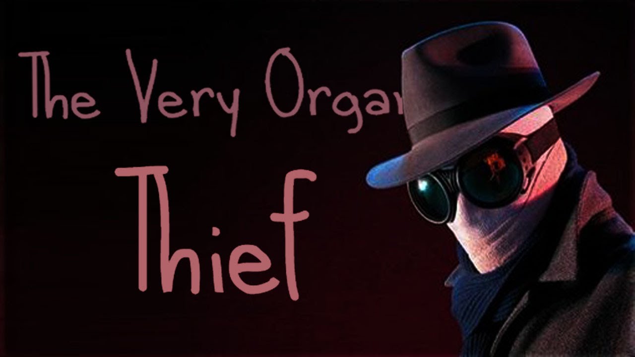 Aprendiendo a robar :O - The very organized thief