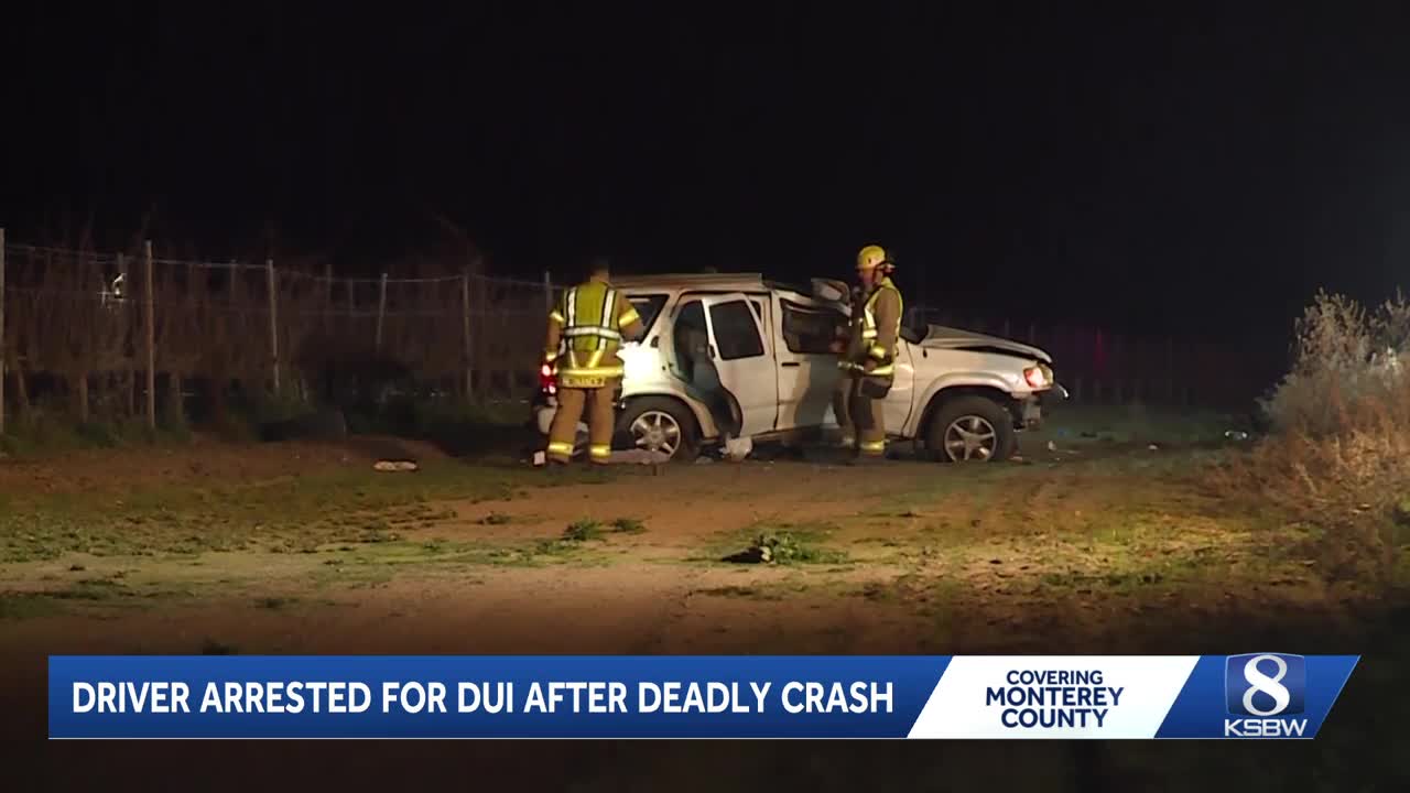 Seaside woman arrested for DUI after deadly crash with infant in car ...