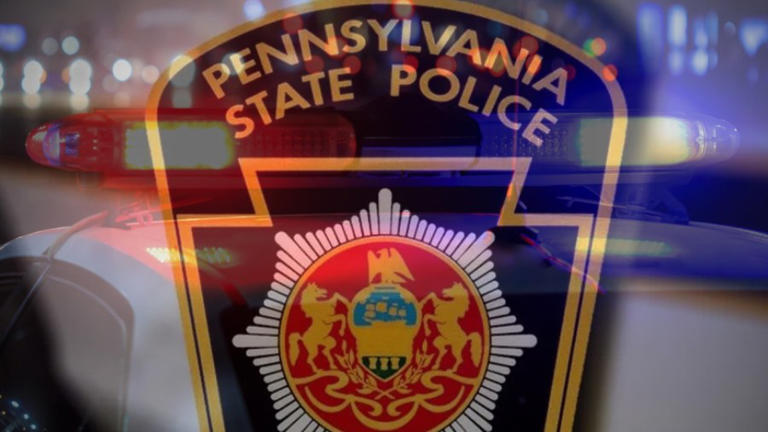 Multiple people arrested in child sex sting, PSP say