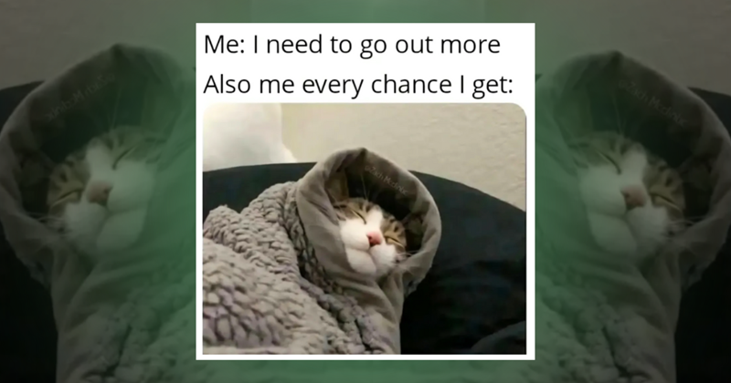 35 introvert memes for ghost riders staying silent online to scroll ...
