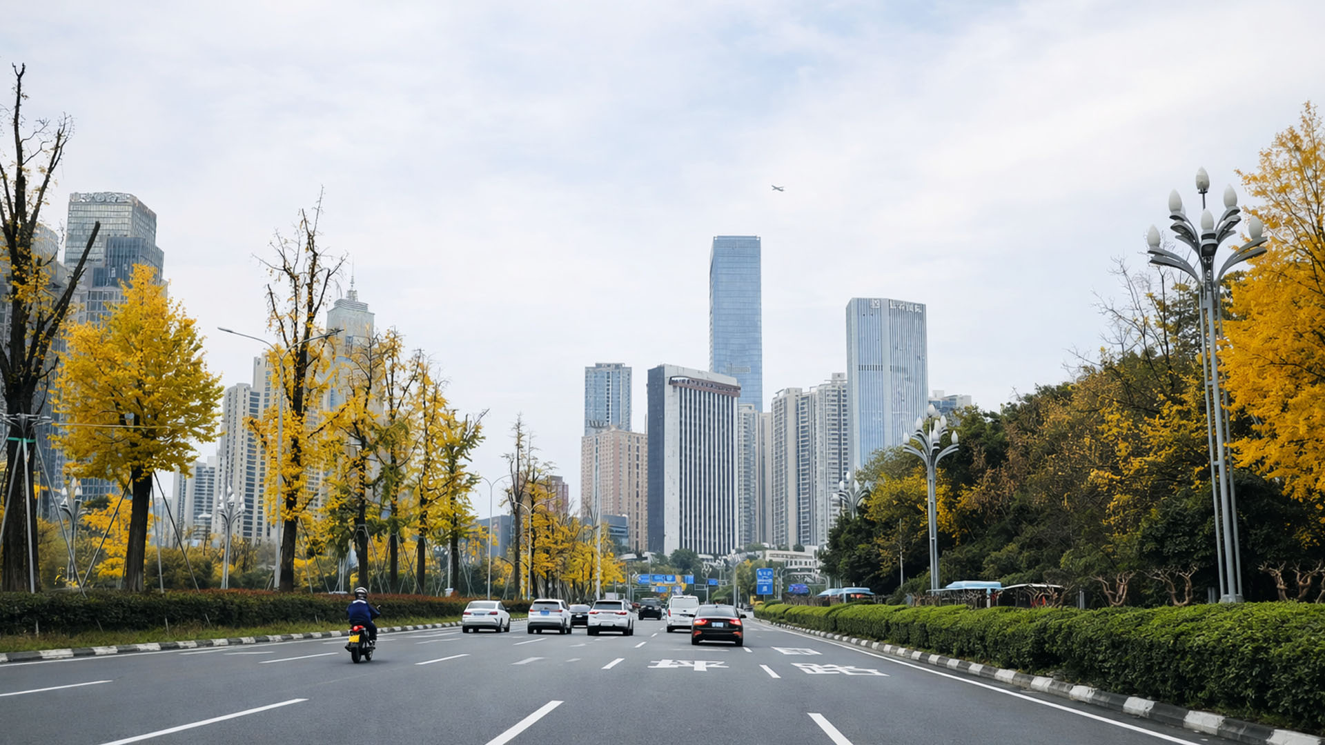Yellow trees line this Chongqing highway