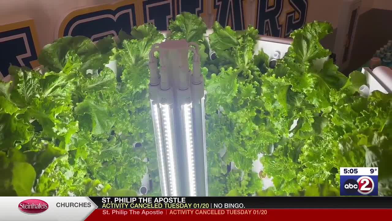 Jackson Elementary cuts ribbon on new Flex Farm