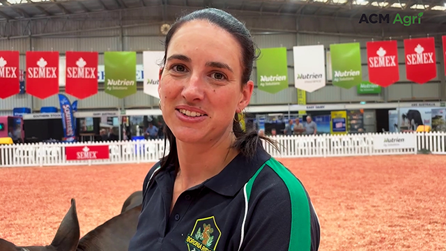 Junior champion jersey