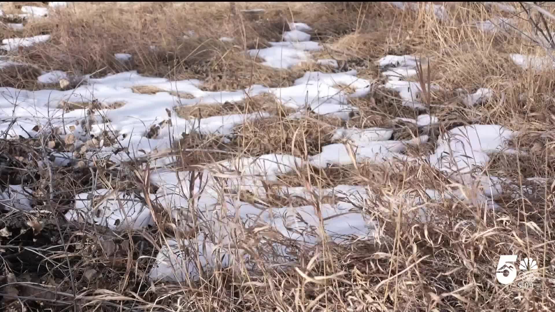 Fire risk remains high in Colorado despite snow on the ground