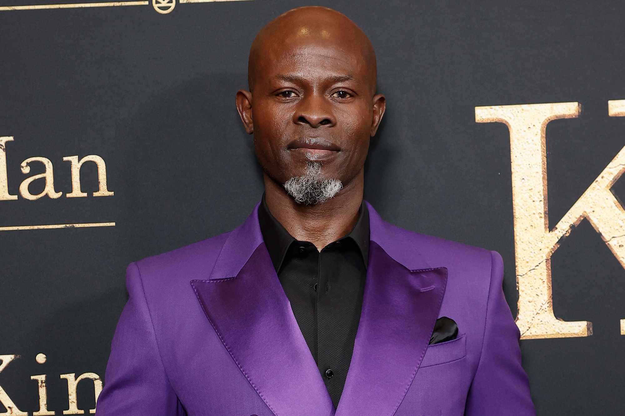 Djimon Hounsou's ex and co-parent arrested after he alleges assault