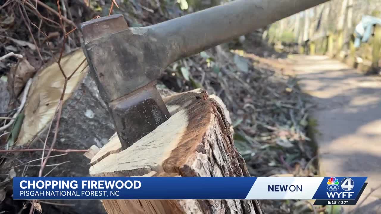 Pisgah National Forest invites you to chop and gather supplies