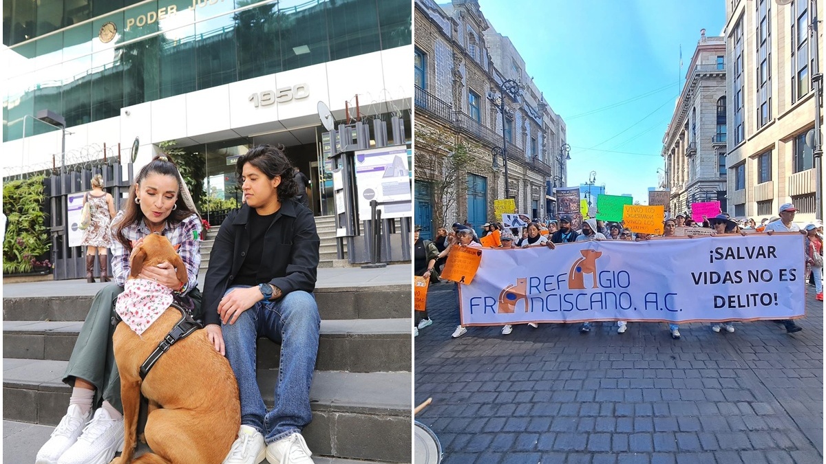 Refugio Franciscano. Amparo fuerza a CDMX a crear protocolo especial de ...