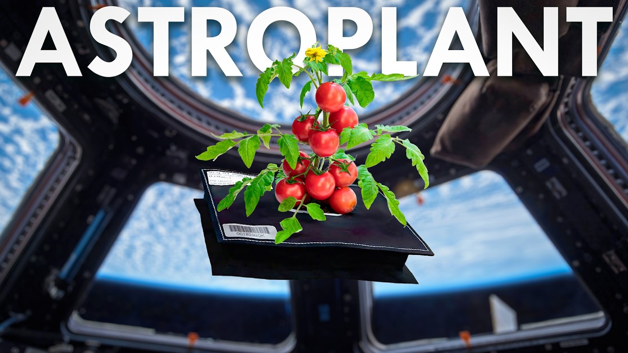 What happens when scientists grow plants beyond Earth’s atmosphere