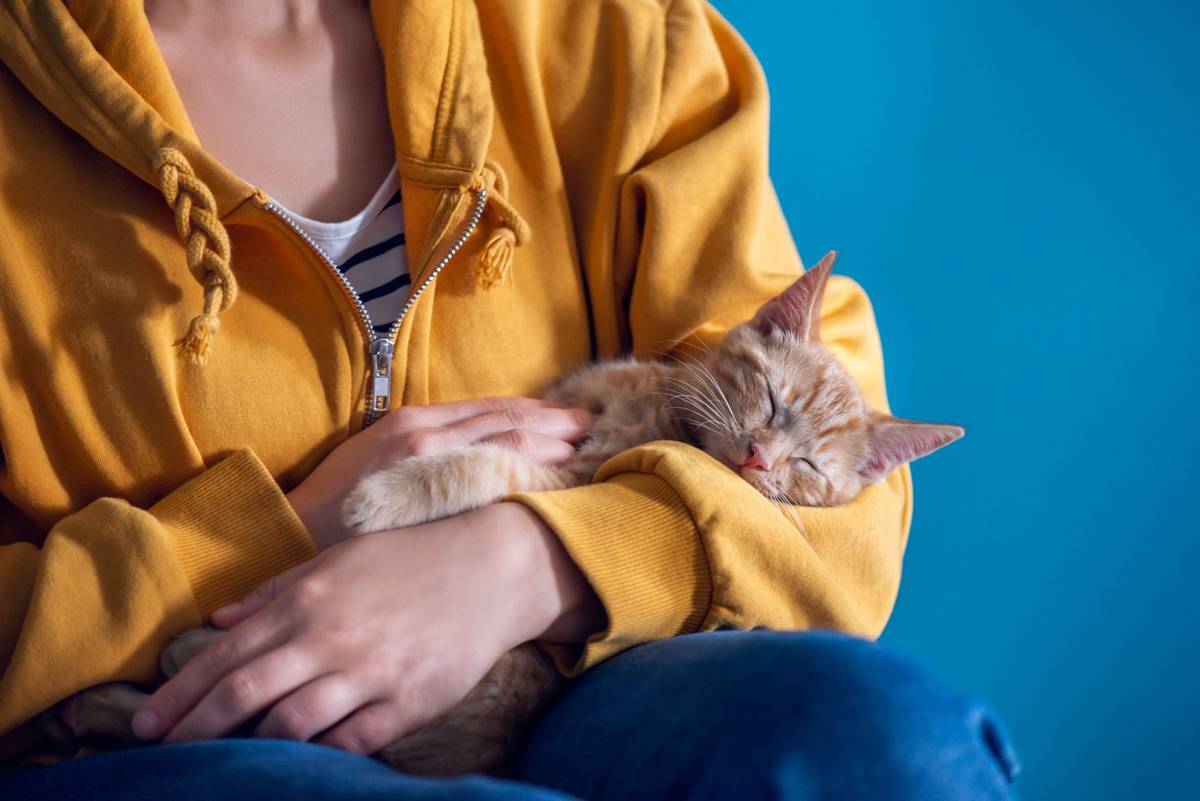 Quando um gato dorme em cima de si, não é por acaso!