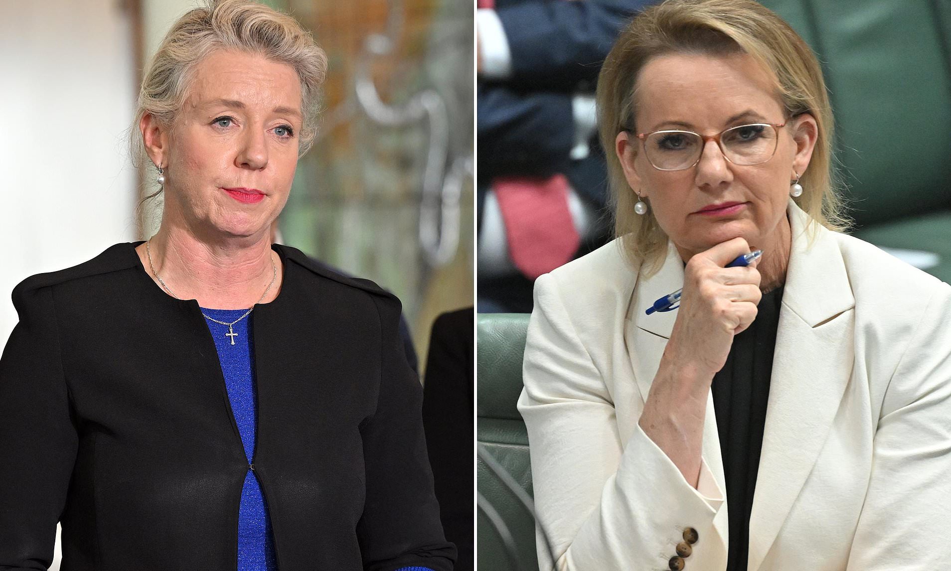 Political earthquake rocks Canberra as three MPs resign from shadow cabinet