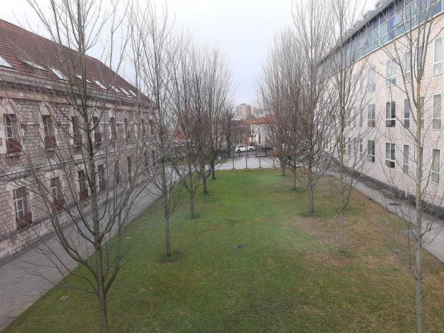 Suspendido el juicio contra el matrimonio acusado de intentar matar a ...