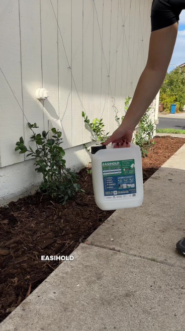 Game-changing hack that keeps this space looking fresh all year long