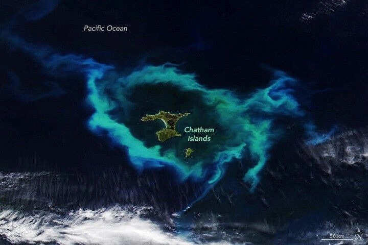 NASA captures a ring of colour in the Pacific near the Chatham Islands