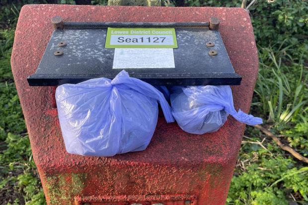 'Poo vigilante's' anger after bagging up over 100 piles of dog mess in ...