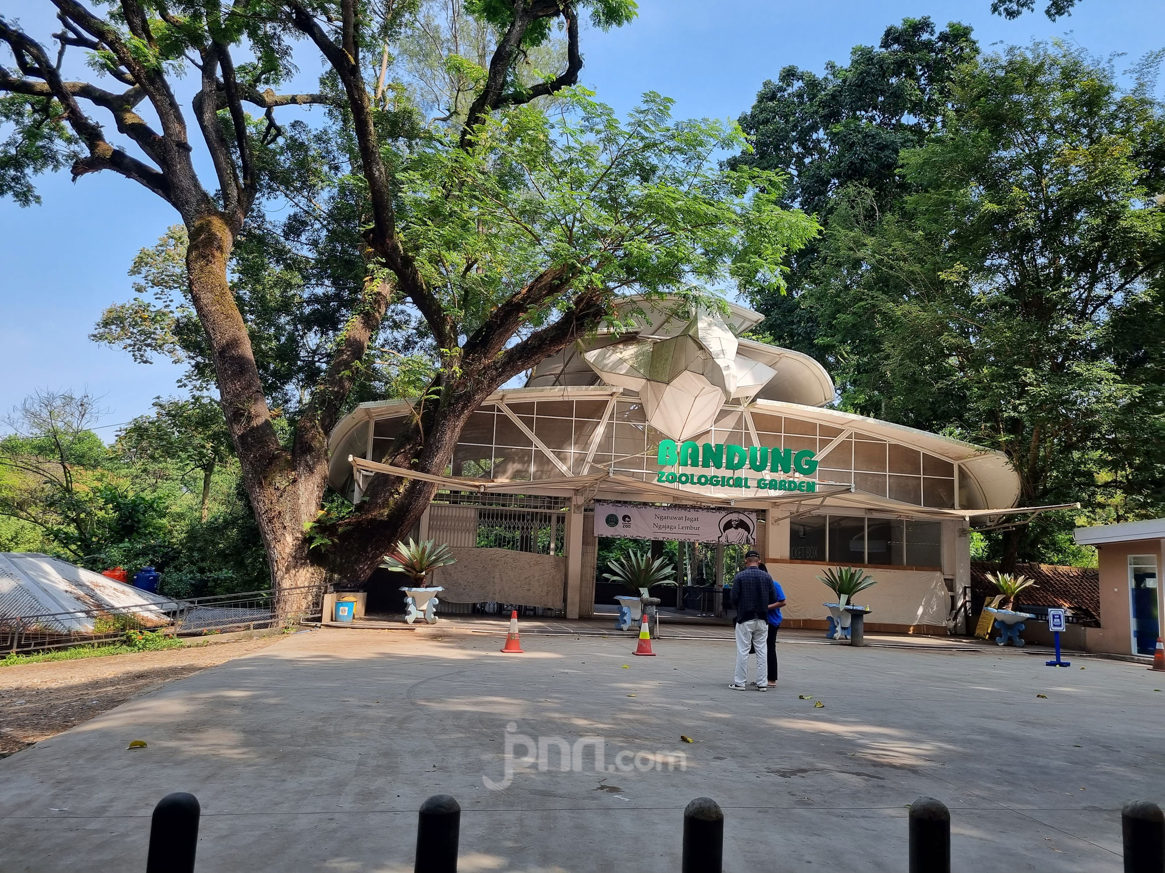 Orangutan hingga gajah terindikasi stres di Bandung Zoo
