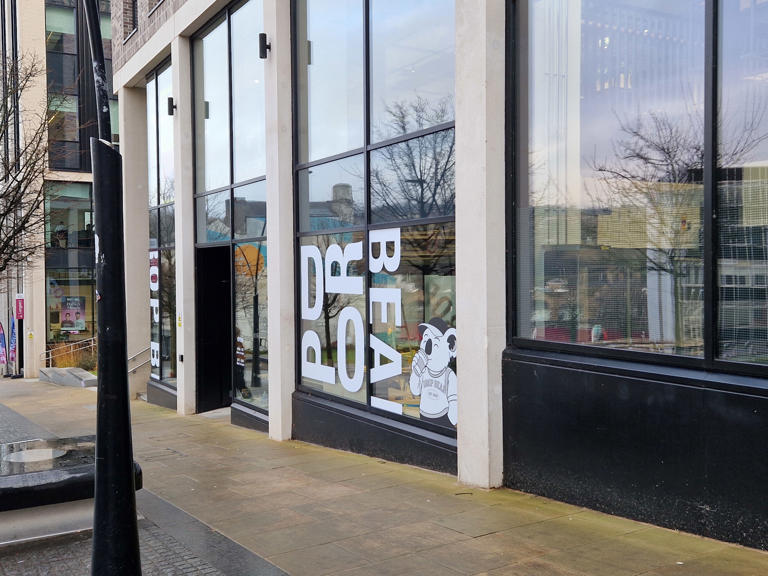 Drop Bear Sheffield: Hygge owners reveal the face of new Sheffield cafe ...