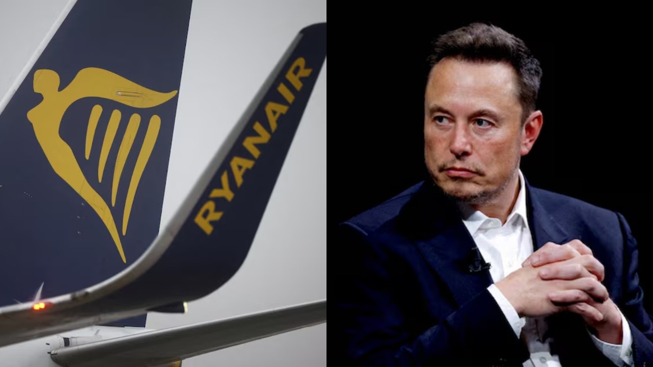 Airline launches Great idiots sale after Elon Musk threatens to buy and ...