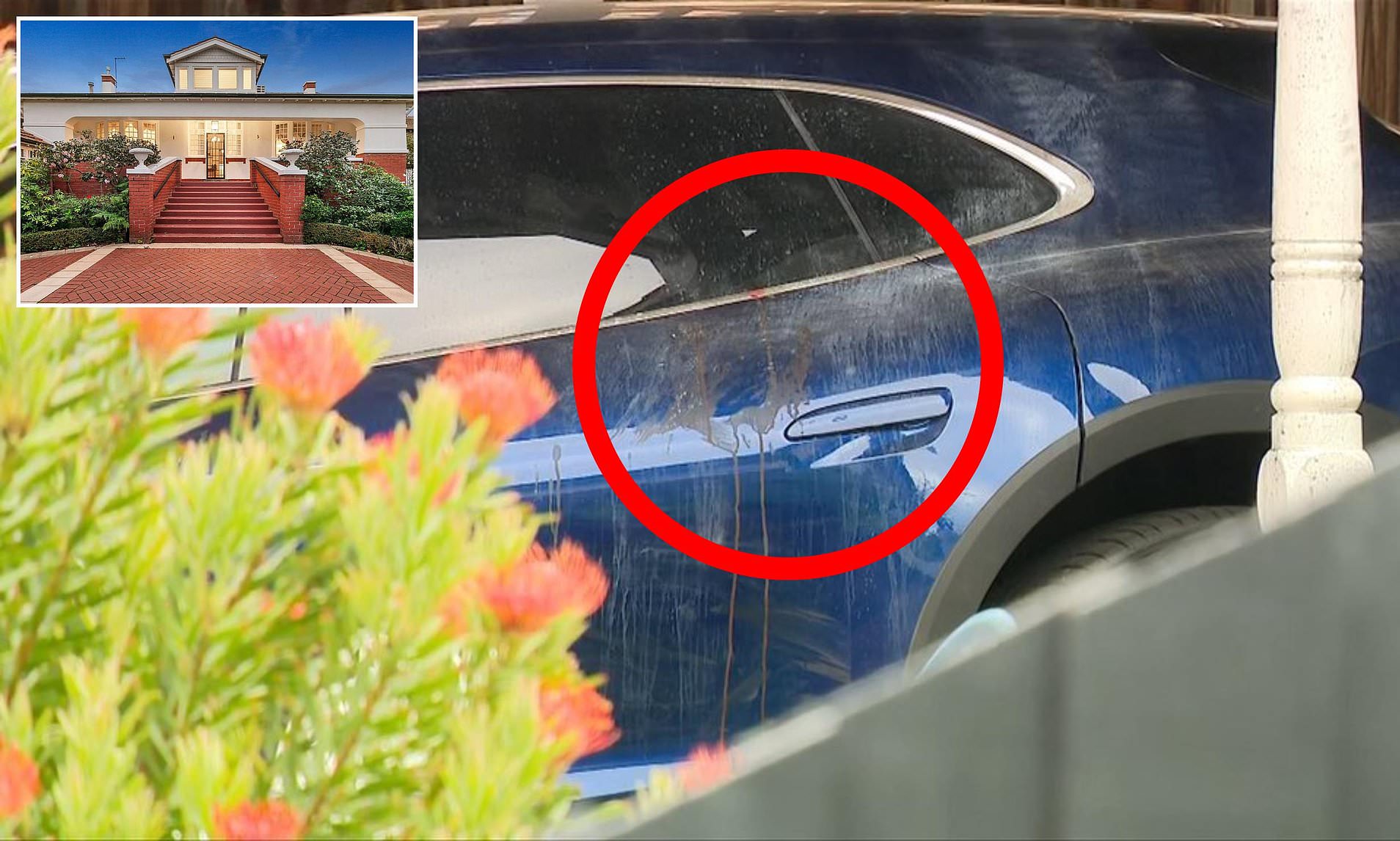 Woman, 18, stabbed in rich suburb as photos show bloodied Porsche and ...