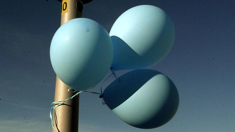 Where are they now? Netflix revisits Elizabeth Smart and key figures in ...