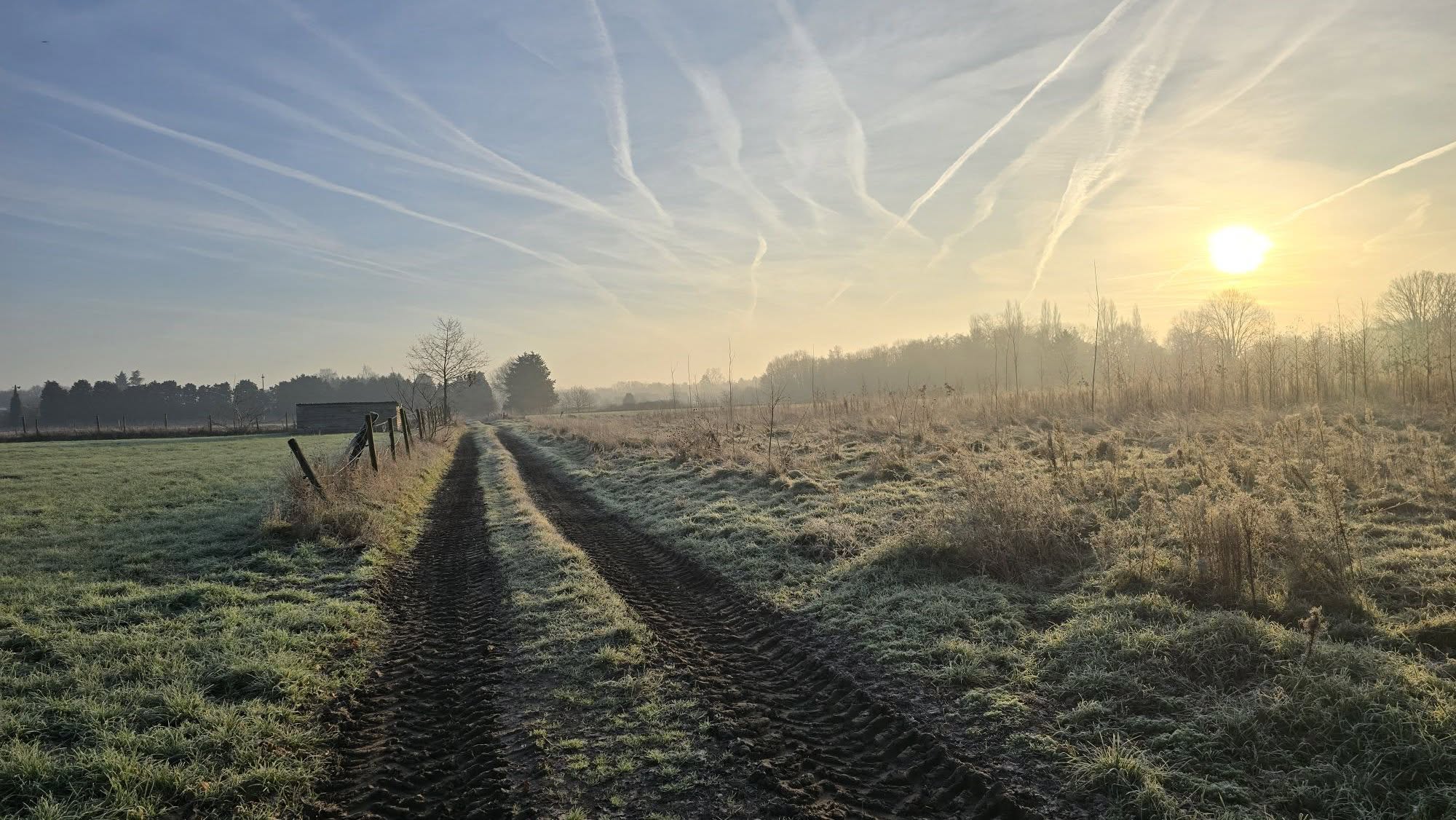 Weerman Samuel: "Volgende week licht winters"