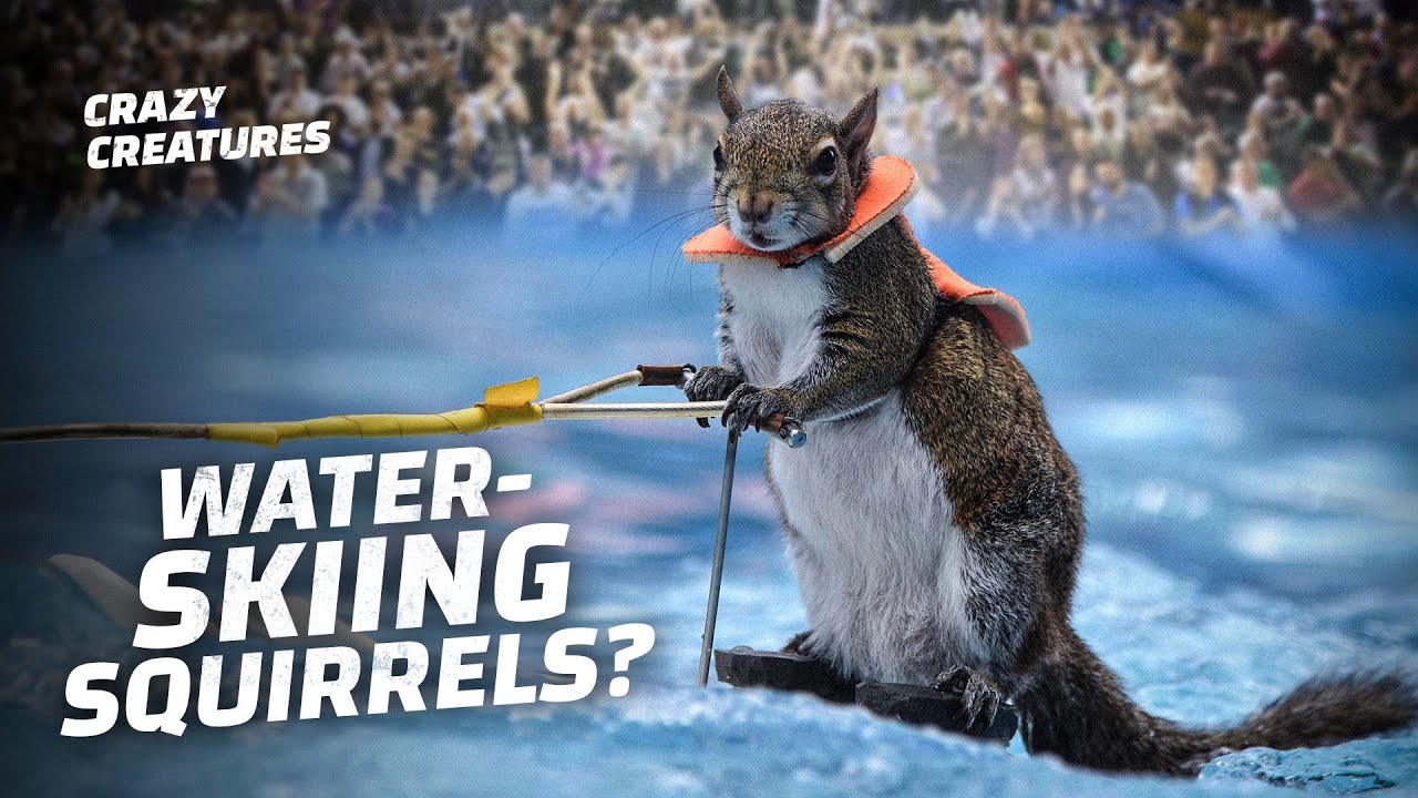 The moment these animals risk injury or death to do their jobs