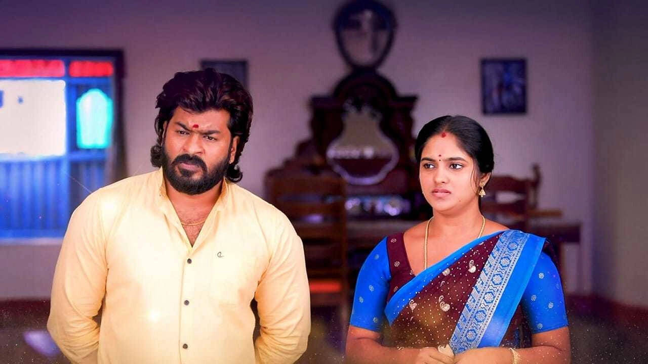 Chinna Marumagal: Everything about the family drama starring Navin ...