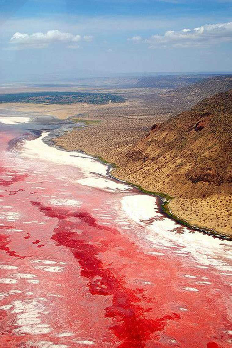 Lake Natron, Tanzania: The Red Lake That Turns Animals Into Stoke Statues