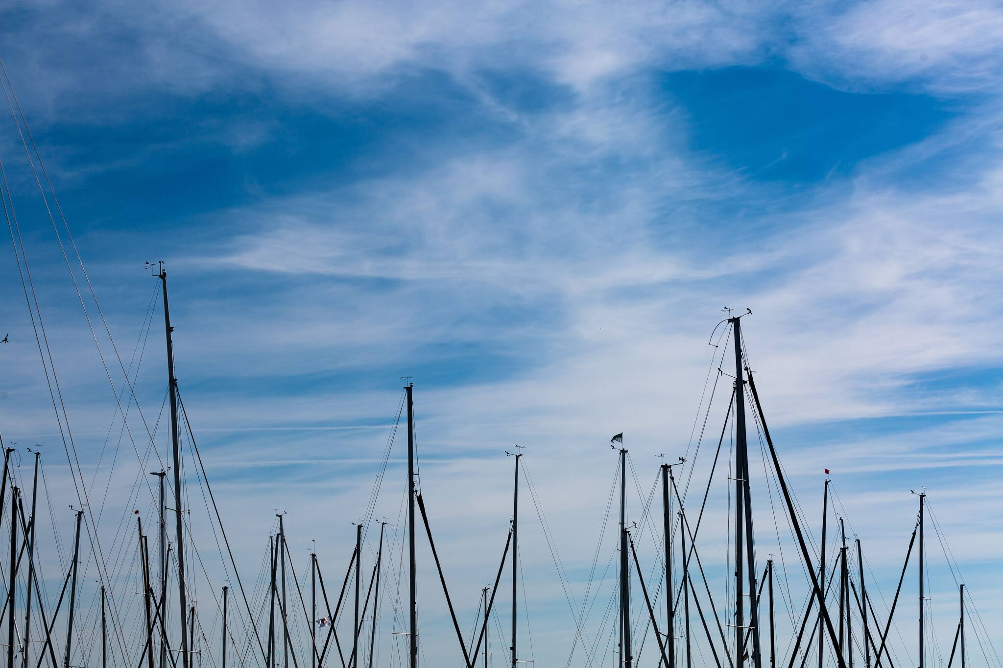 Segler aus deutschem Team bei Transatlantik-Regatta gestorben