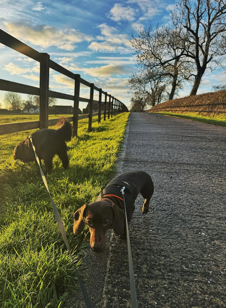 John Griff column: Friend – or fairweather foe?