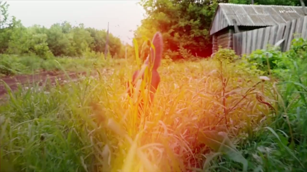 Signs that your cat loves you