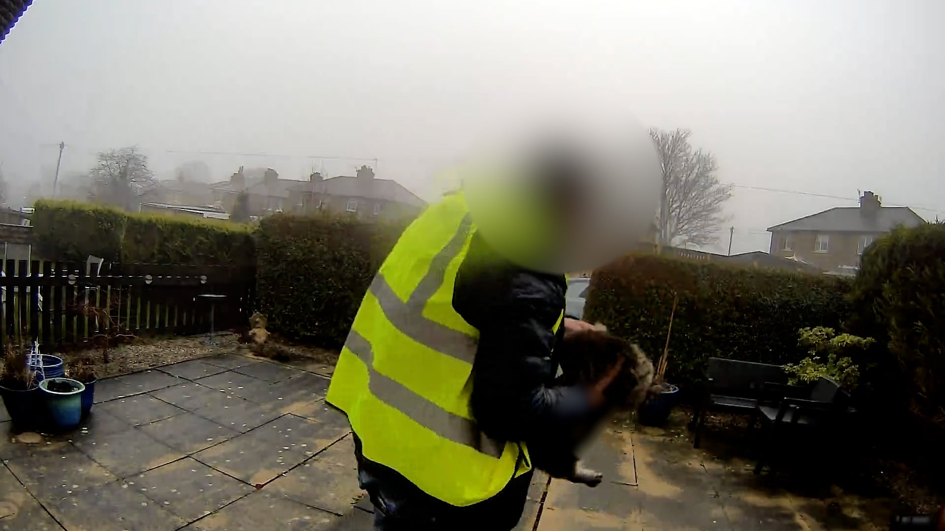 Amazon delivery driver caught 'stealing cat' from front door