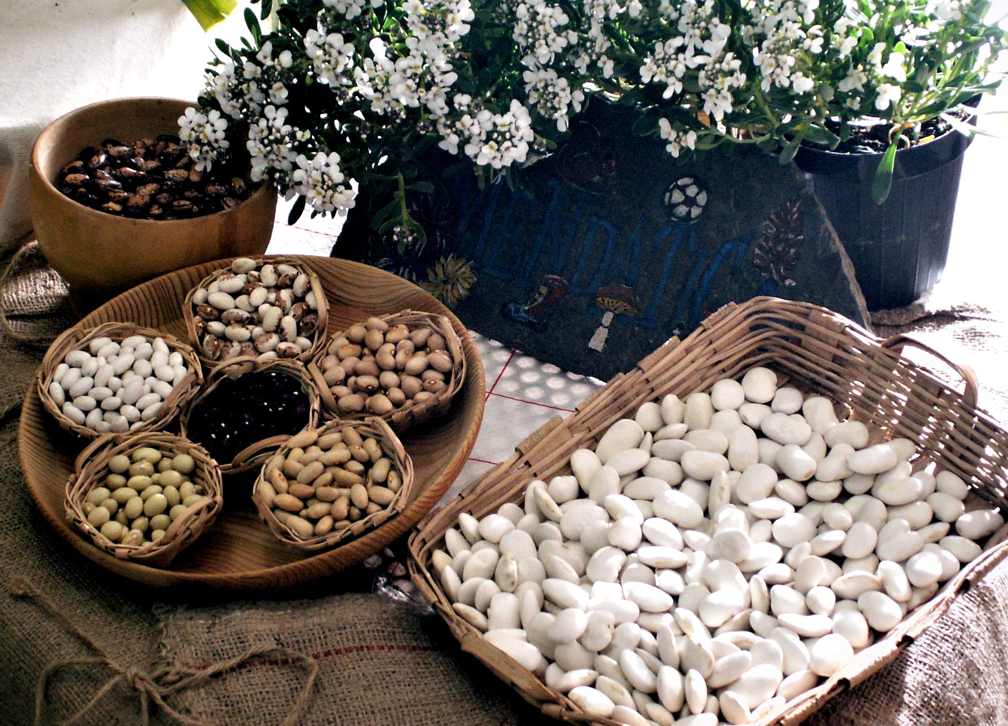 Cucina bianca, il tesoro silenzioso che unisce la Liguria e il Piemonte ...