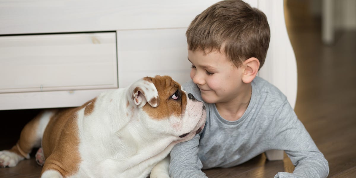If you have kids at home, you'll want to adopt one of these pups