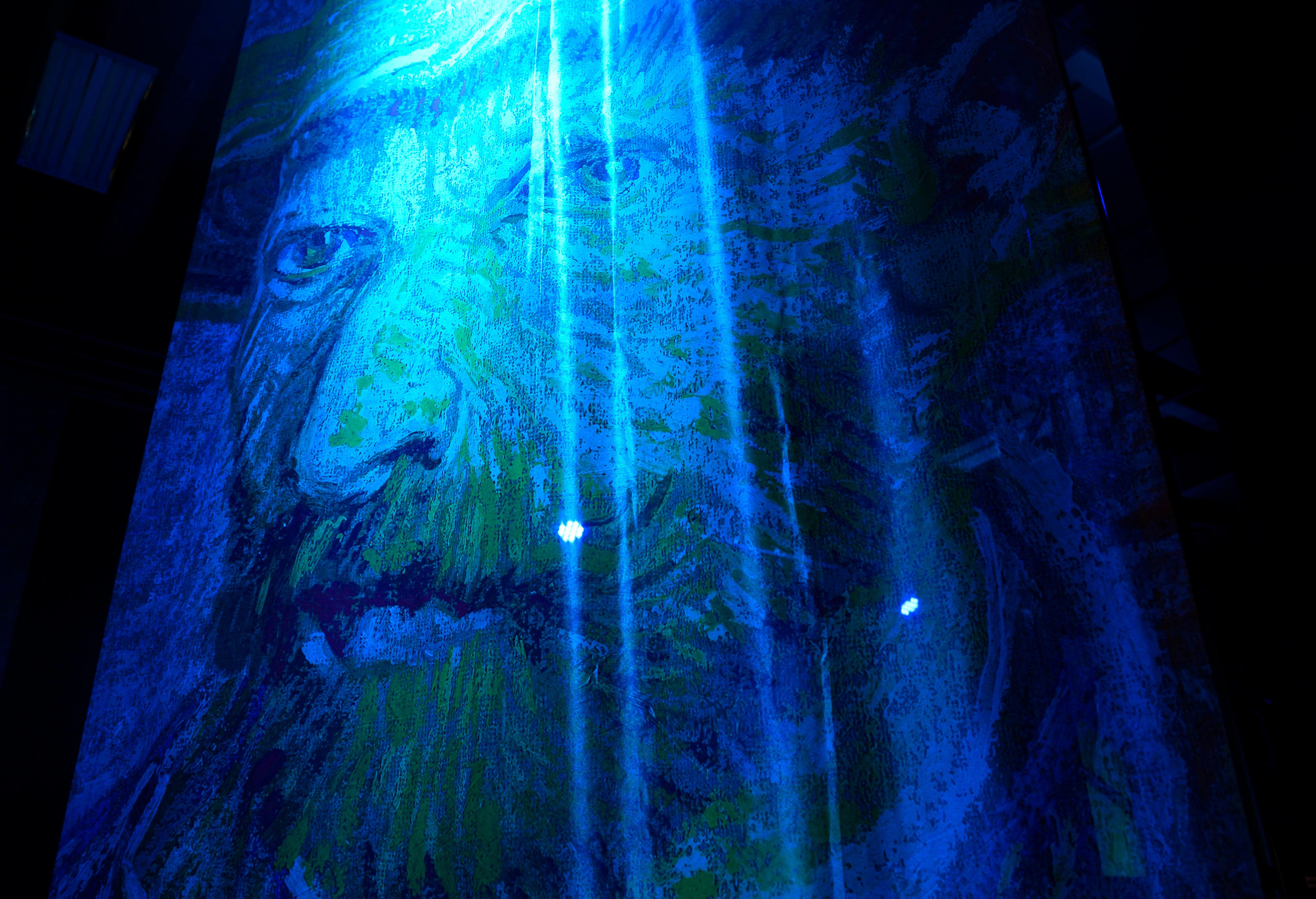 Now you know: Van Gogh, Monet immersive experience comes to Estero