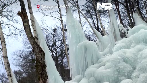 Subzero forest: Ice forest created at mountain inn in Takayama